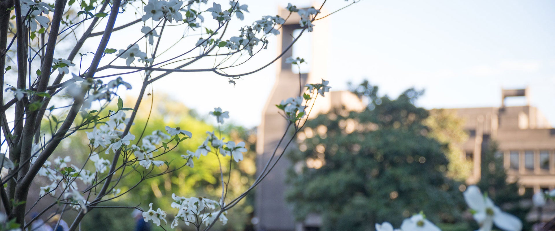 Courses | Disability Studies | Georgetown University