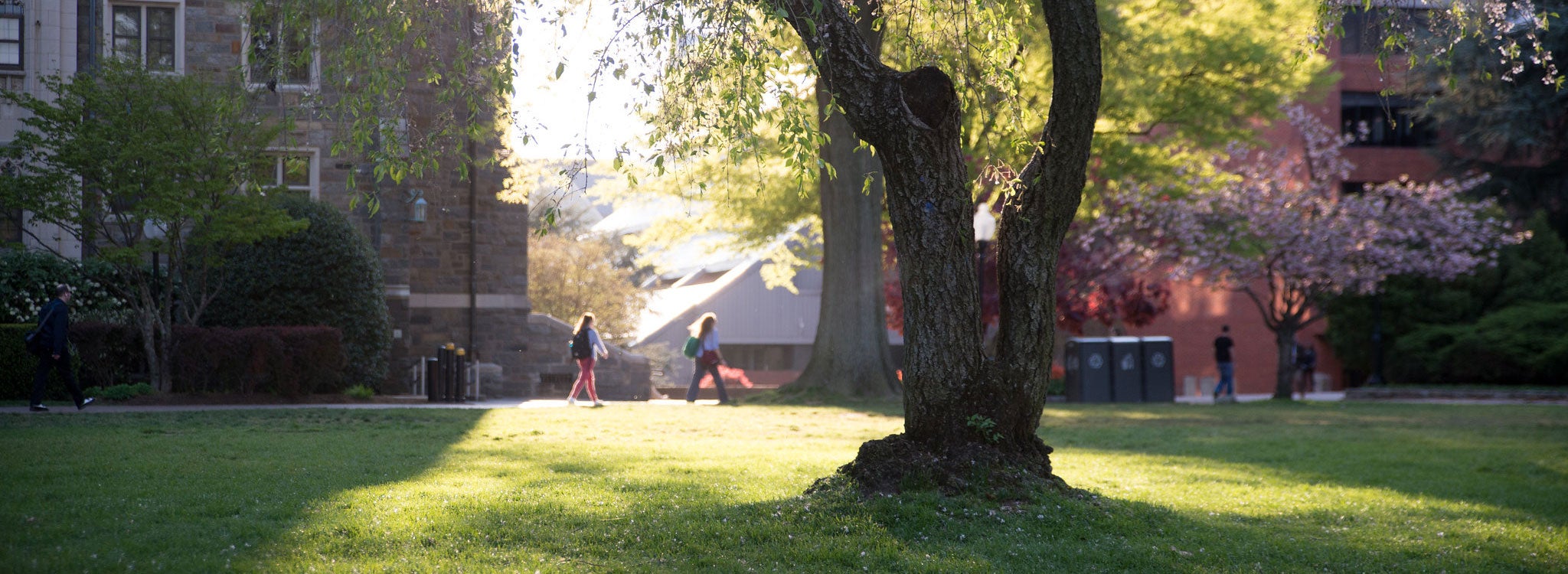 Minor Requirements | Disability Studies | Georgetown University